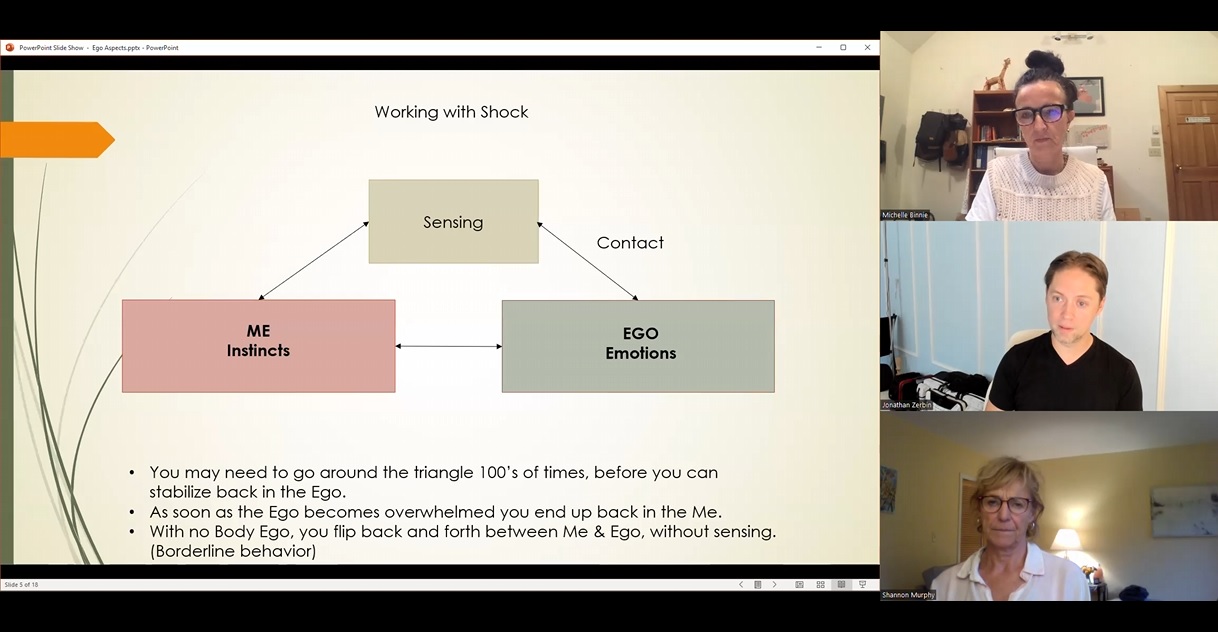 Somatic Coaching – Facilitating Transformation with Developmental ...